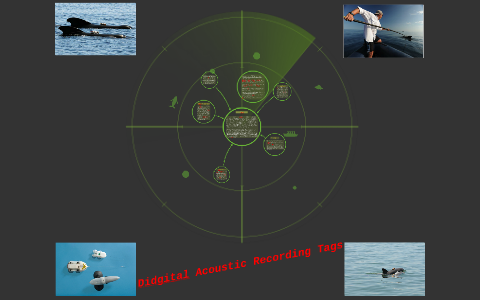 Digital Acoustic Recording Tags by on Prezi