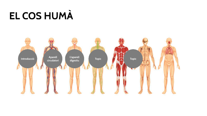 El cos humà by Roger Enrich on Prezi