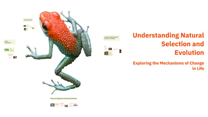 Understanding Natural Selection and Evolution by kathl33na on Prezi