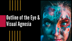 Outline of the Eye & Visual Agnosia by Brittany Ambrose on Prezi Design