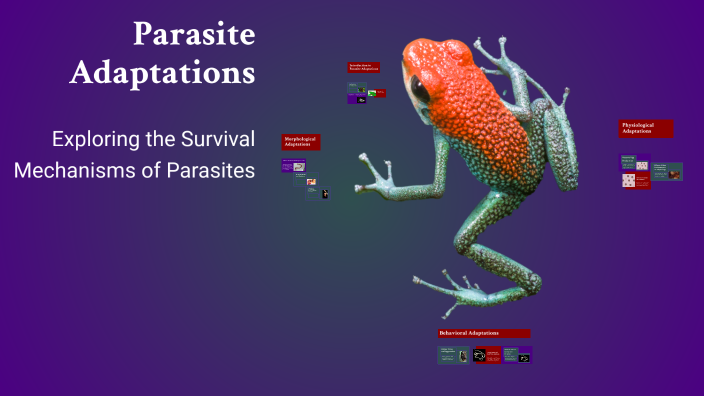 Parasite Adaptations by Mohammad Amin Mir on Prezi