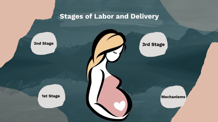 Stages of Labor and Delivery by Krystian Laroya on Prezi