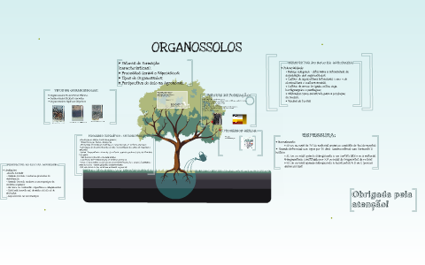 ORGANOSSOLOS by Raissa Silva on Prezi