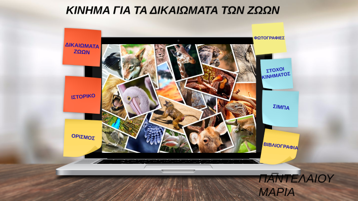 ΚΟΙΝΩΝΙΚΑ ΚΙΝΗΜΑΤΑ by Agatha Makrozachopoulou on Prezi