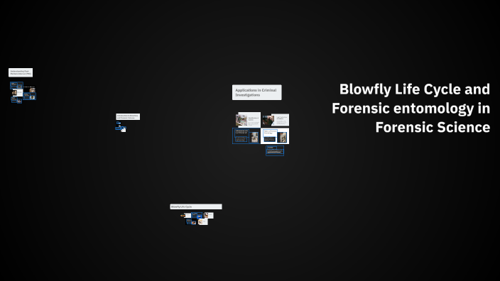 Blowfly Life Cycle and Its Role in Forensic Science by Izaiah Pina on Prezi