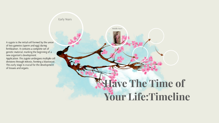 Life Story Project by Life with Ta’Nieya on Prezi