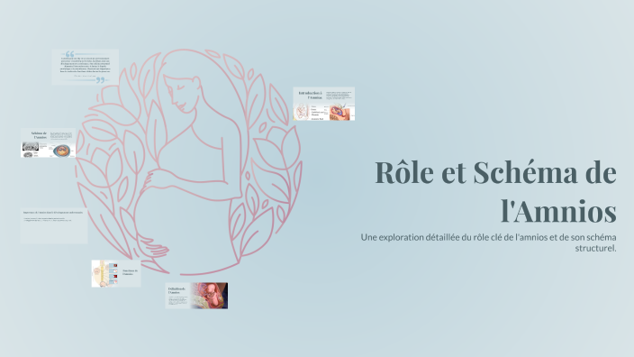 Rôle et Schéma de l'Amnios by feten feten on Prezi