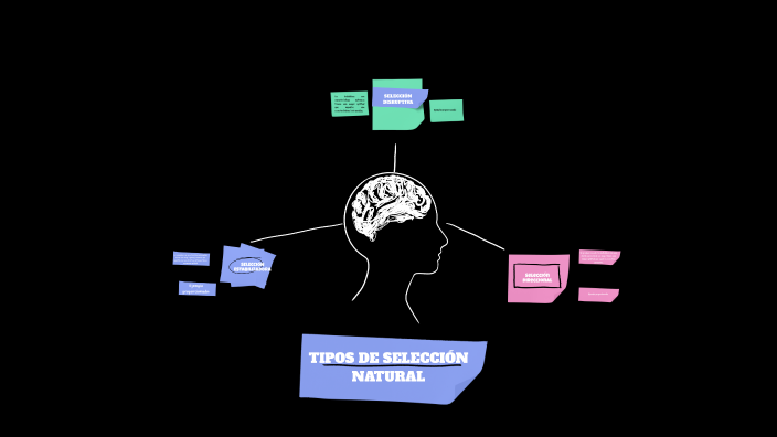 Tipos de selección natural by Emily Angulo on Prezi