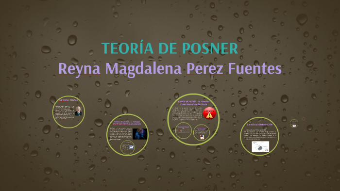 teoria de posner by magdalena perez on Prezi