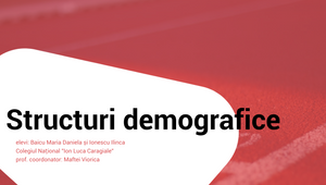structuri demografice by Ilinca Ionescu on Prezi Design