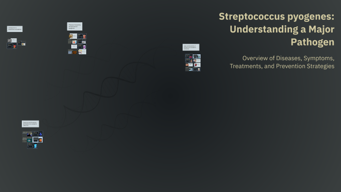 Streptococcus pyogenes: Understanding a Major Pathogen by J B on Prezi