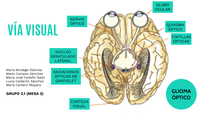 VÍA VISUAL by MARIA CANTERO MOYANO on Prezi