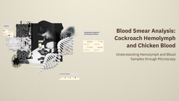 Blood Smear Analysis: Cockroach Hemolymph and Chicken Blood by Myat ...