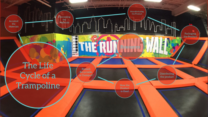 trampoline life cycle by Cody Gatlin on Prezi