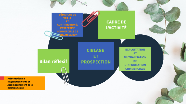 Nouvelle fiche e4 nego by kouadio liane on Prezi
