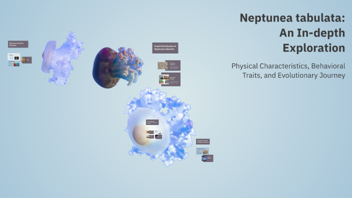 Neptunea tabulata: An In-depth Exploration by JOLEN ROYAL on Prezi