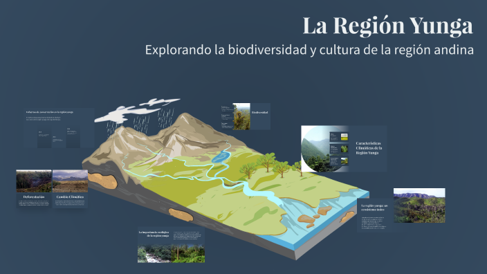 La Región Yunga by Pérsida Navarro on Prezi