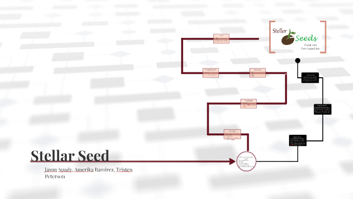 Steller Seed by America Ramirez on Prezi