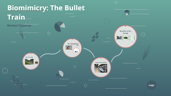 Biomimicry: The Bullet Train by Romeo Figueroa on Prezi