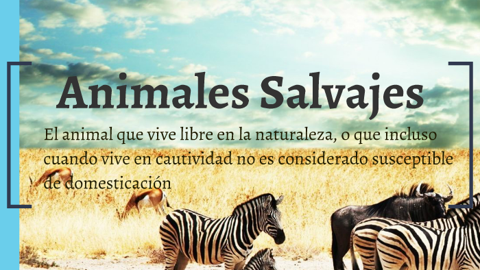 el animal que vive libre en la naturaleza, o que incluso cua by docente ...
