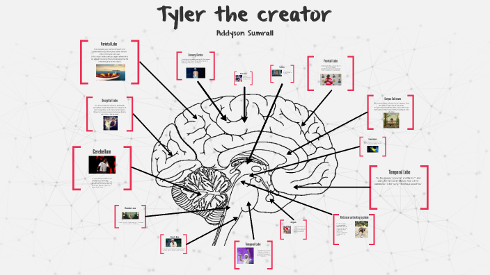 celebrity brain project by Addyson Sumrall on Prezi