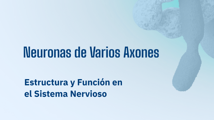 Neuronas de Varios Axones by Marycarmen Millán Torcat on Prezi