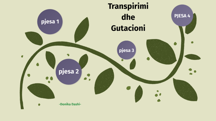 Transpirimi dhe Gutacioni by donika dashi on Prezi