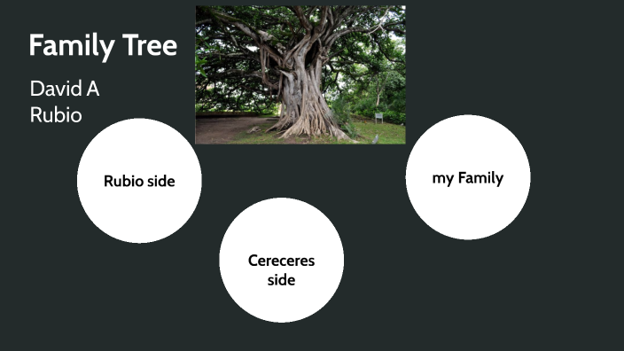 Family Tree by David Rubio on Prezi