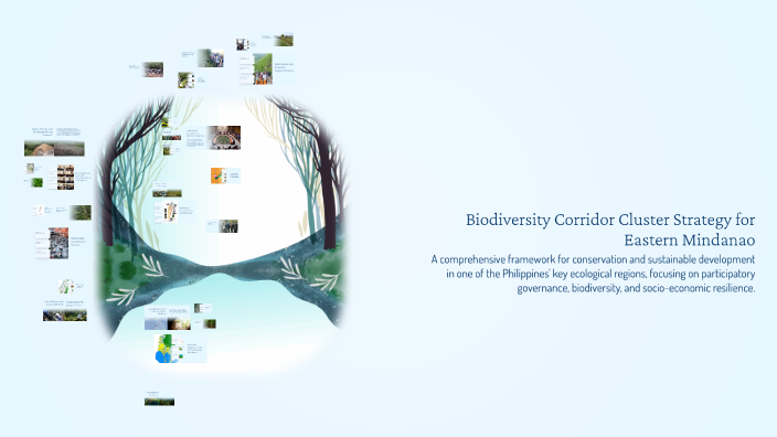Biodiversity Corridor Cluster Strategy for Eastern Mindanao by Amy ...