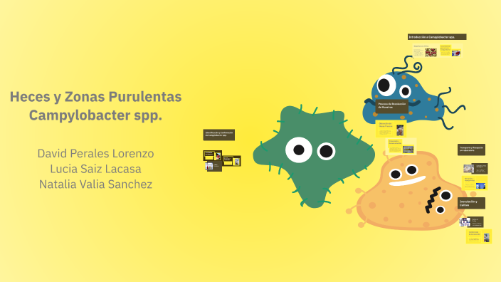 Heces y Zonas Purulentas by D Perales on Prezi