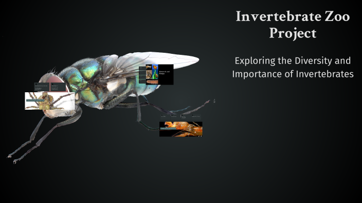 Invertebrate Zoo Project by Jordan P. on Prezi