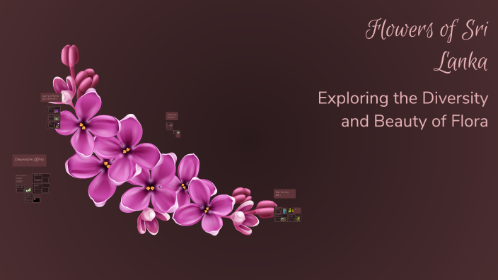 Flowers of Sri Lanka by Weyanga Anjani on Prezi