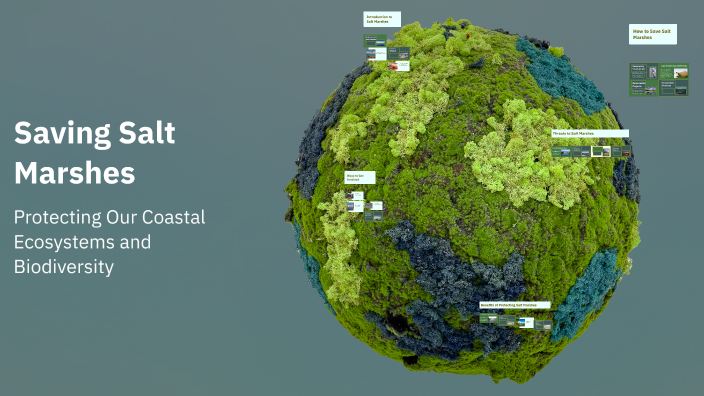 Saving Salt Marshes by Amare Lewis on Prezi