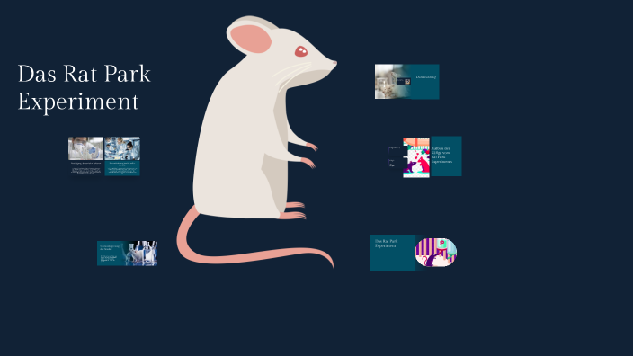 Das Rat Park Experiment by Oskar D. on Prezi