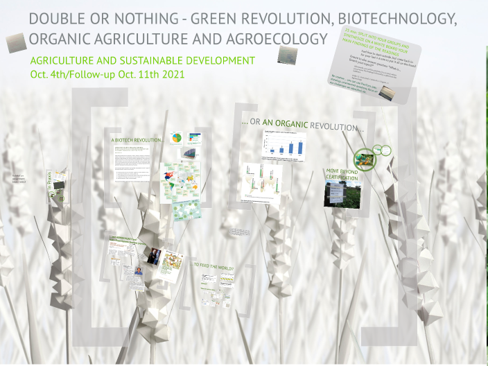 2021 Oct 4th/11th - Double or Nothing by Samuel Ledermann on Prezi