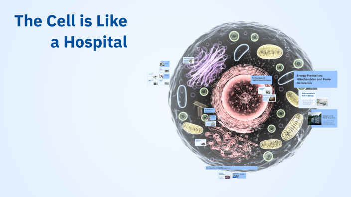 The Cell is Like a Hospital by GB - 10SS 765646 Mayfield SS on Prezi