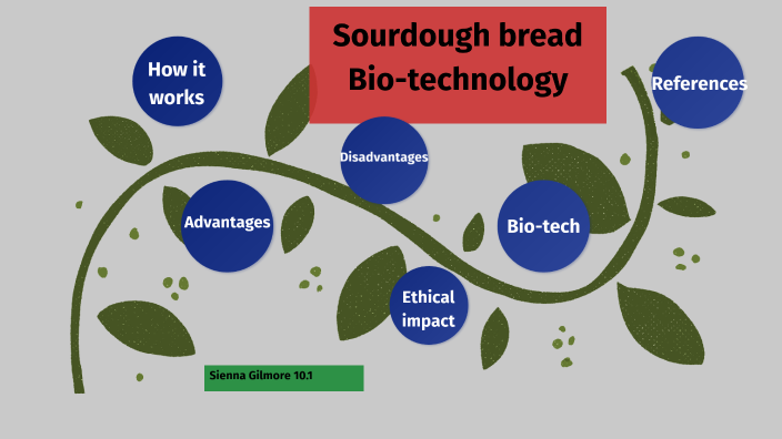 Biotechnology sourdough bread by Sienna Gilmore on Prezi