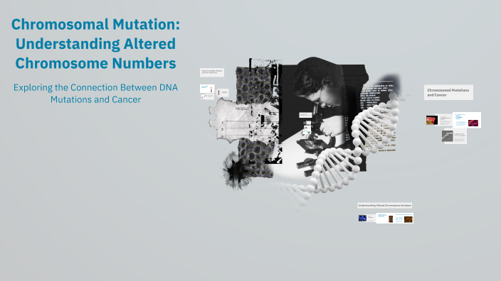 Chromosomal Mutation: Understanding Altered Chromosome Numbers by jerby ...