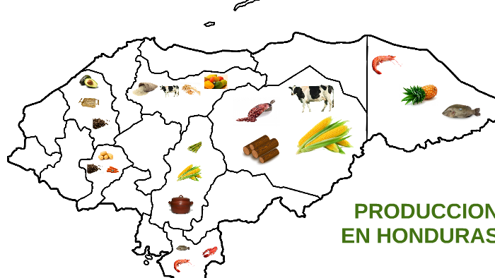 La papa es el principal producto de exportación de Intibuca by Georgina ...