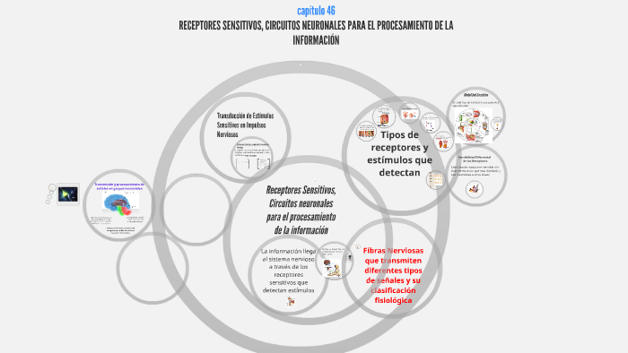 Fibras Nerviosas que transmiten diferentes tipos de señales by on Prezi