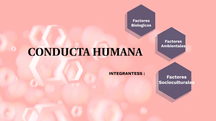 CONDUCTA HUMANA by Mileny Xiomara Miranda Sosaya on Prezi