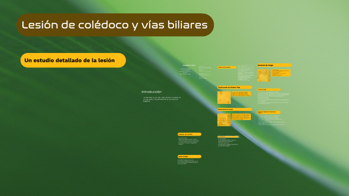 Lesión de colédoco y vías biliares by Gut Samy on Prezi