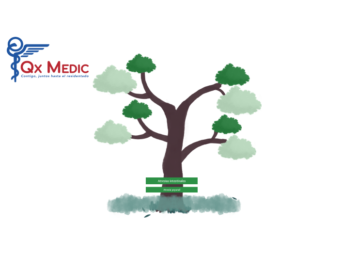3 Atresias intestinales Atresia yeyunal by GRUPO QX MEDIC on Prezi