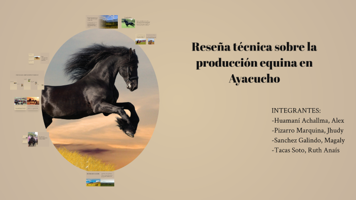 Reseña técnica sobre la producción equina en Ayacucho by JHUDY BANESA ...