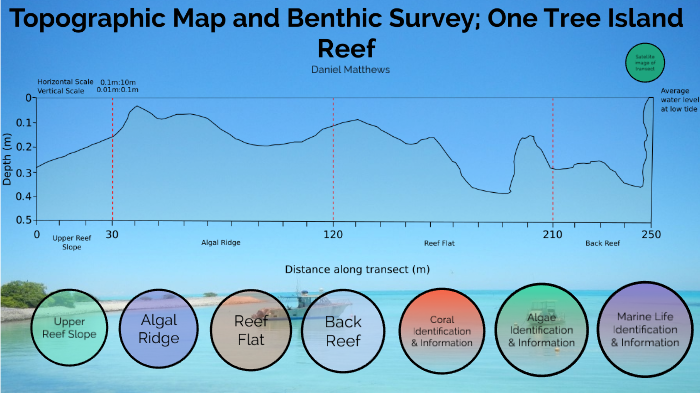 One Tree Island Map by Daniel Matthews on Prezi
