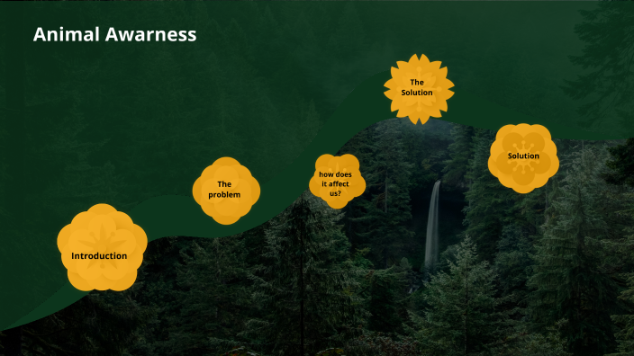 animal awarness by Ashley Tax on Prezi
