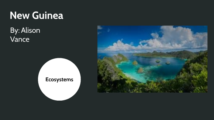 New Guinea Forest by Alison Vance on Prezi