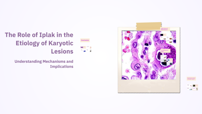 The Role of Iplak in the Etiology of Karyotic Lesions by Ema Brahimi on ...