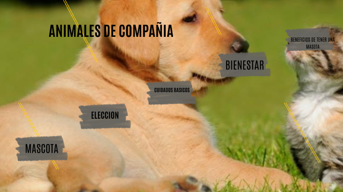 ANIMALES DE COMPAÑIA by SOANNY SORANYI MARTINEZ JIMENEZ on Prezi