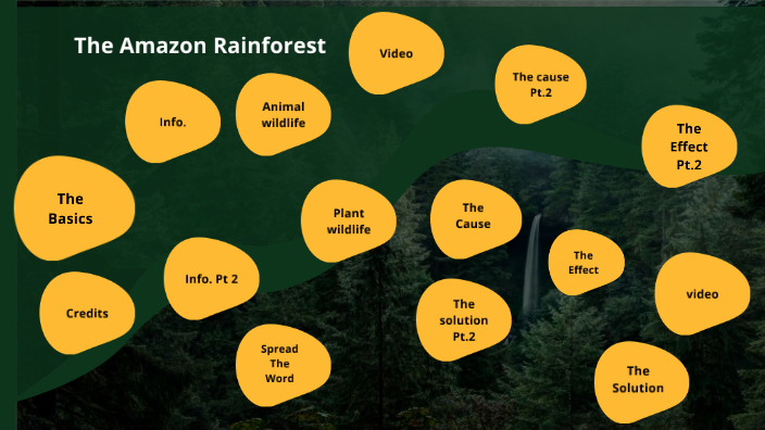 Amazon rain forest project by Ha Alb on Prezi
